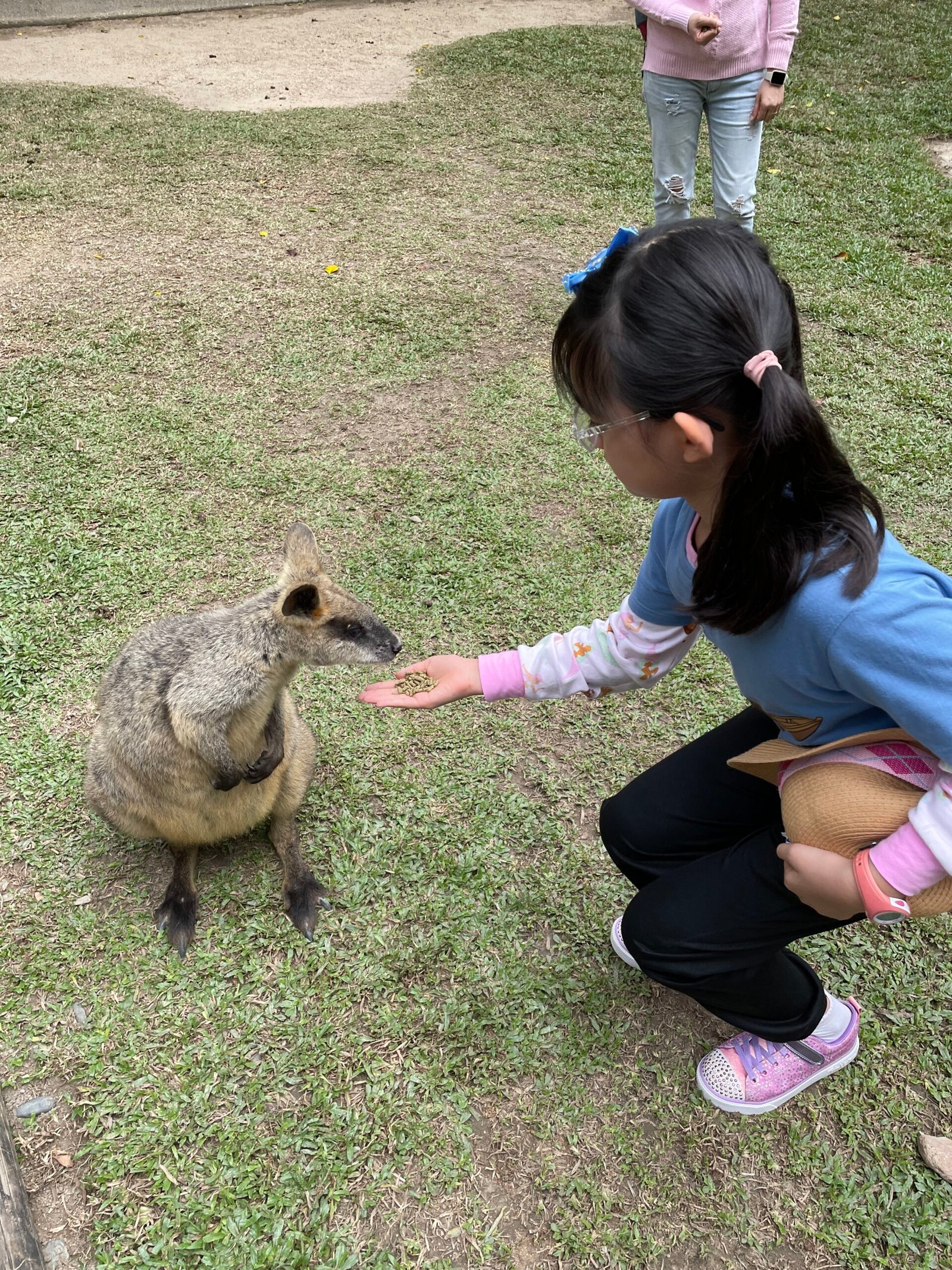 Day 5 – Kuranda and Atherton Tablelands - Our Super Planet